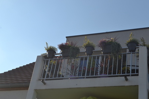 Mairie Geispolsheim - Commune de Geispolsheim et Espace Malraux