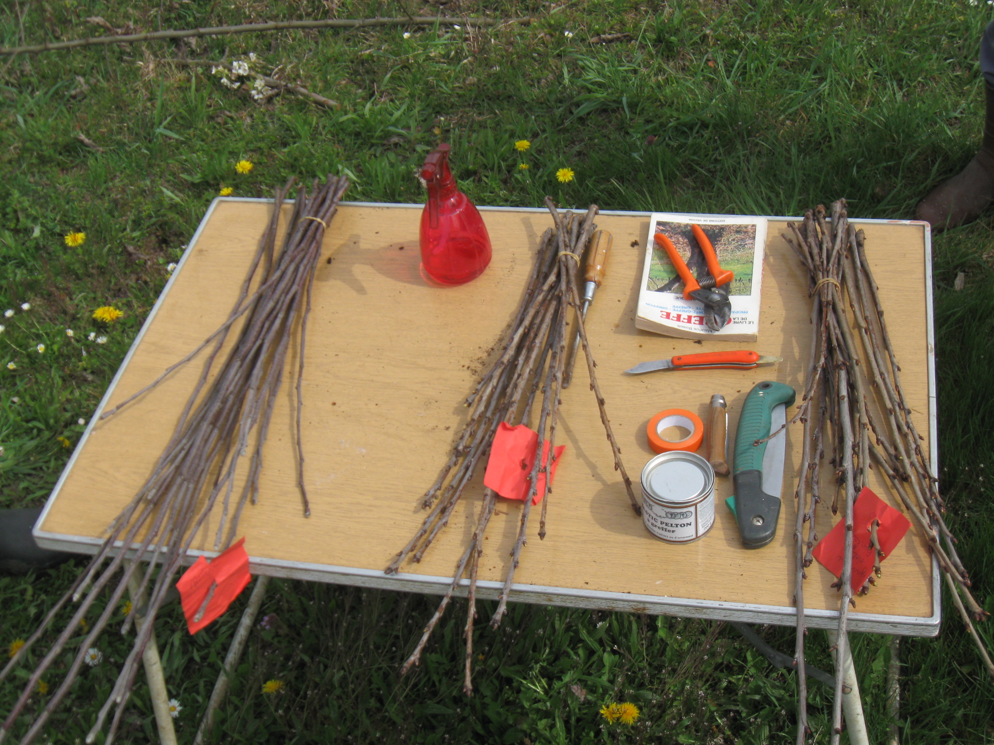 Cours de greffage d'arbres fruitiers